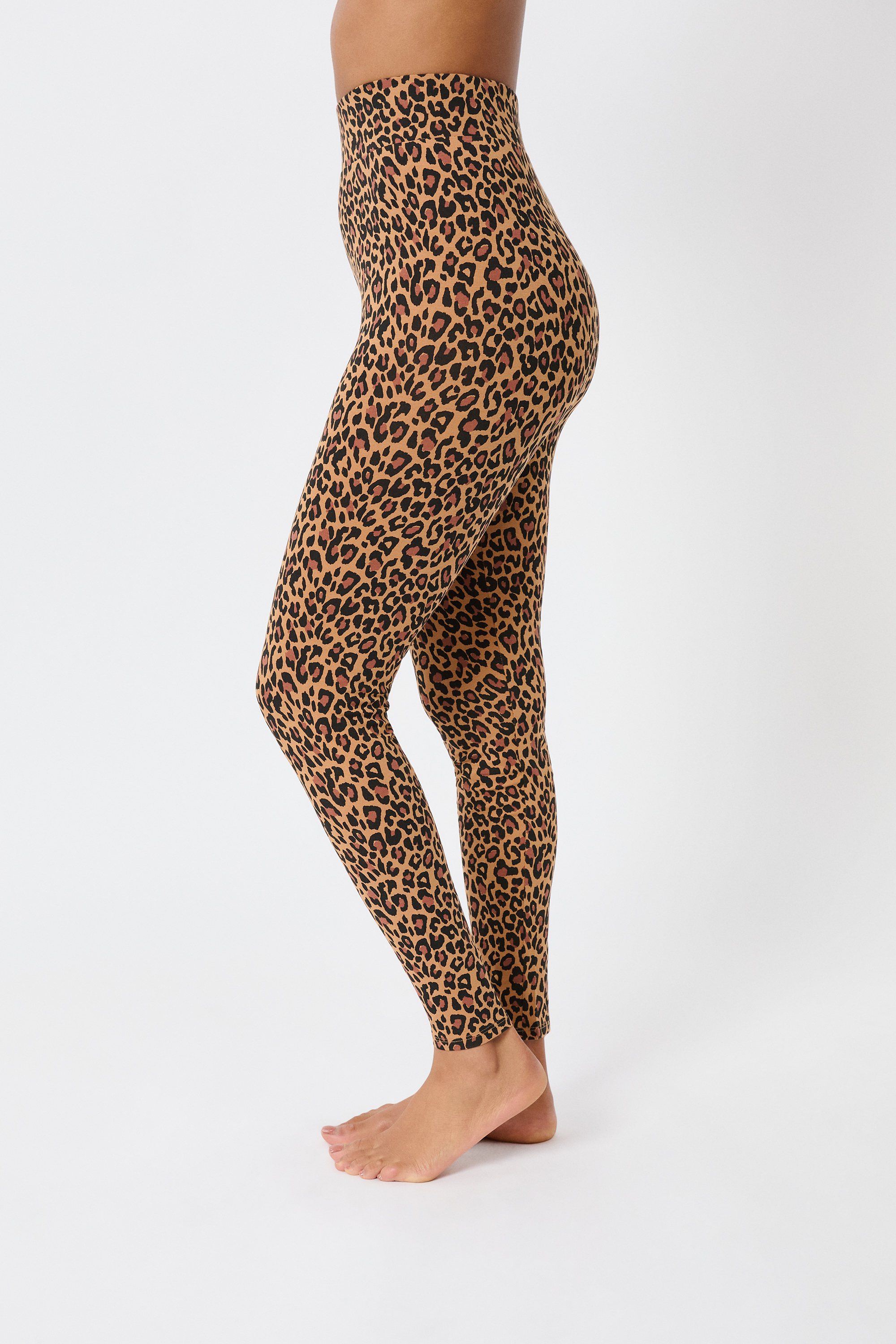 Legging à motif léopard en coton LEOPOLD MARRON - ETAM